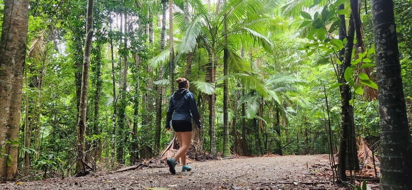 Airlie Beach: Waterfall & Bushwalk Eco Adventure Whitsundays - Key Points
