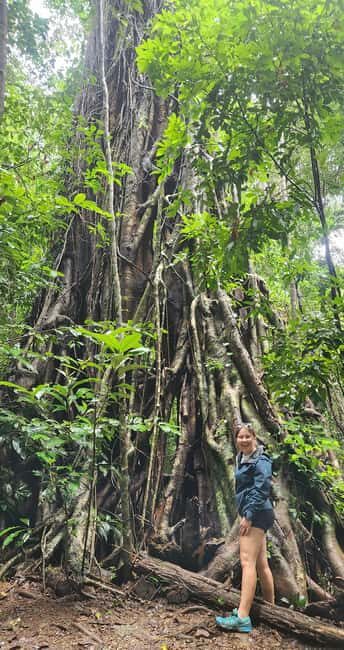 Airlie Beach: Waterfall & Bushwalk Eco Adventure Whitsundays - Exploring the Itinerary - What to Expect