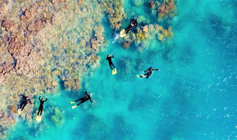 Airlie Beach: Whitehaven Beach Club - Optional Activities: Snorkeling & Bush Walks