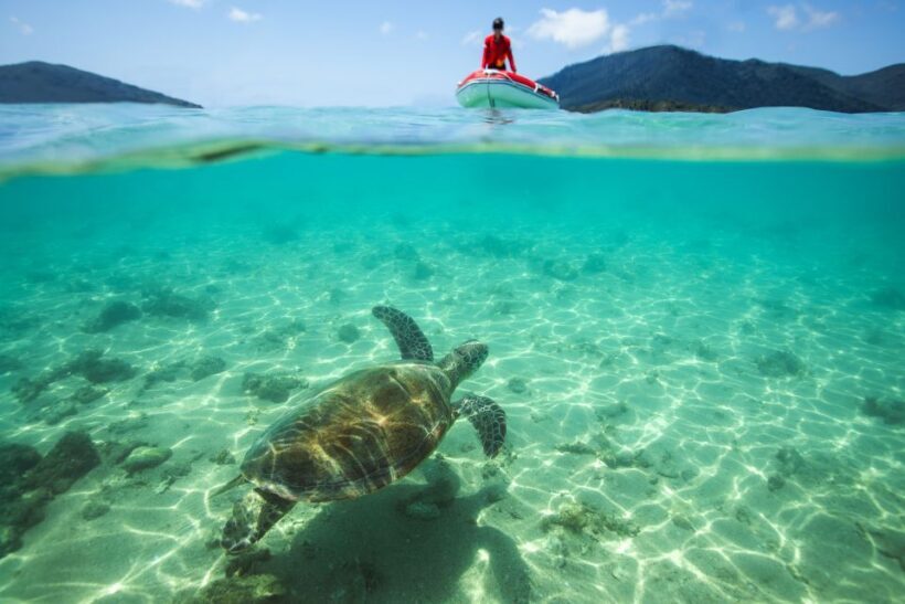 Airlie Beach: Whitehaven Full-Day Eco-Cruise with Buffet - In-Depth Itinerary Breakdown