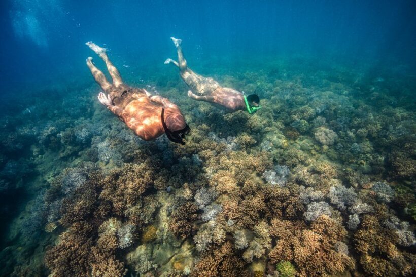 Airlie Beach: Whitehaven Full-Day Eco-Cruise with Buffet - FAQs