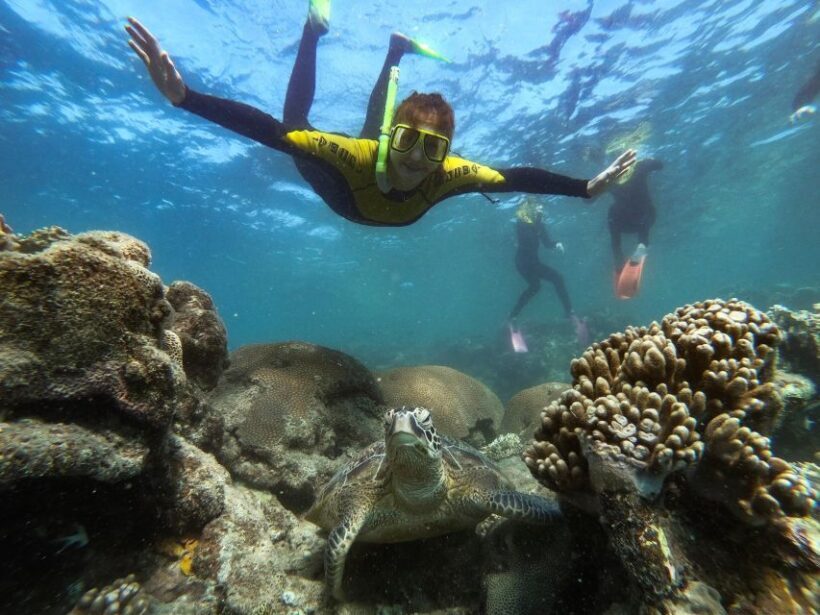Airlie Beach: Whitsunday Islands Sailing, SUP & Snorkel Tour - The Crew: Expertise and Personal Touch