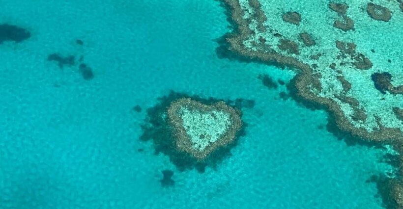 Airlie Beach: Whitsundays & Great Barrier Reef Scenic Flight - The Value of the Tour: Price and What You Get
