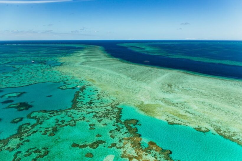 Airlie Beach: Whitsundays & Heart Reef Scenic Flight - Price and Value