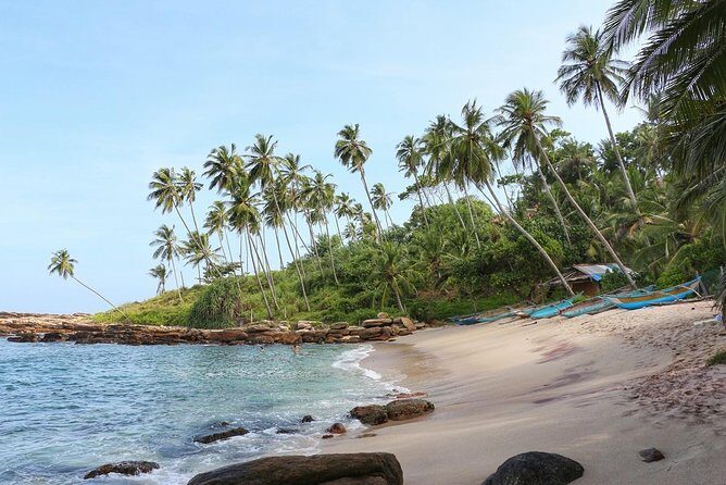 Airport Drop from Tangalle - Who Should Book This Service?