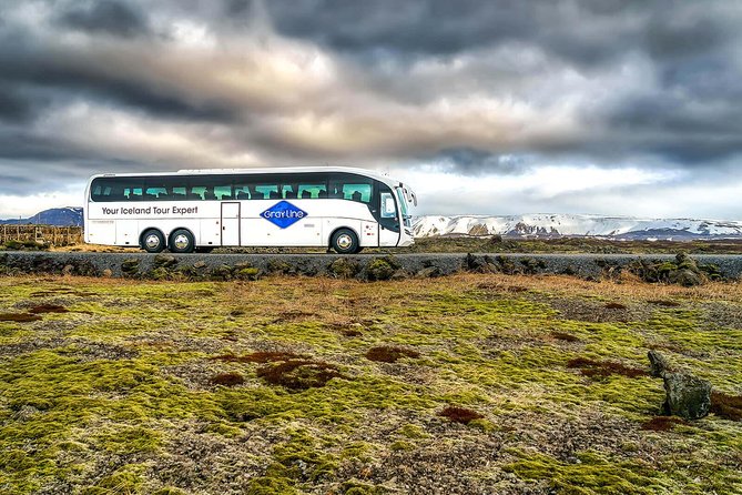 Airport Express Shared Departure Transfer From Reykjavik Hotels to Keflavik Airport - Accessibility and Additional Information
