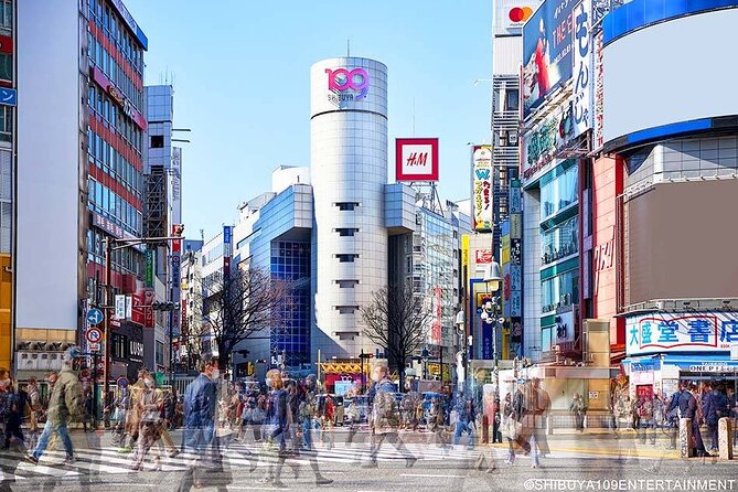 Airport Pick-Up or Drop-Off Service in Tokyo - Common Questions