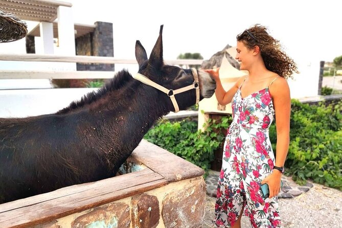 Airport, Port and Hotel Private Transfer in Santorini - The Experience at Different Points