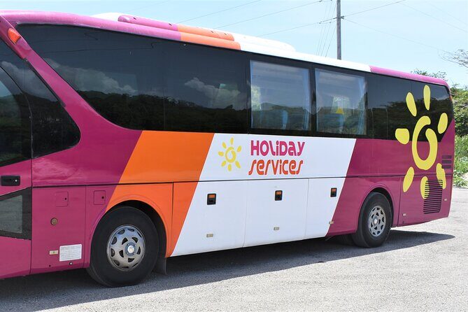 Airport Shuttle from Montego Bay (MBJ) to Hotel - Is This Service Right for You?