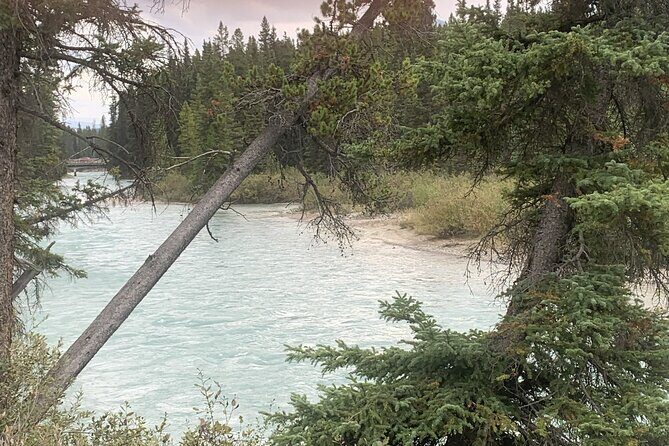 Airport Shuttle: Lake Louise  Calgary - Final Thoughts: Who Will Appreciate This Shuttle?