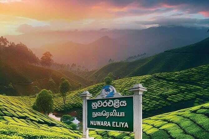 Airport Taxi Transfers from Colombo Airport to Bentota - The Sum Up