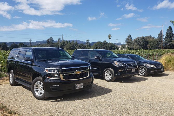 Airport to Napa or Sonoma - Private Direct Transfer - An In-Depth Look at the Transfer Experience
