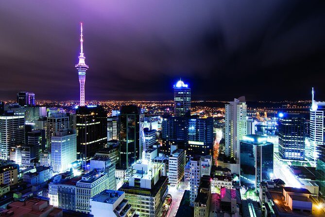 Airport Transfer: Auckland Airport AKL to Auckland by Luxury Van - Pricing and Value