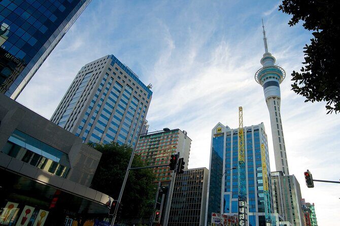 Airport Transfer: Auckland Airport AKL to Auckland by Luxury Van - Who Will Love This Service?