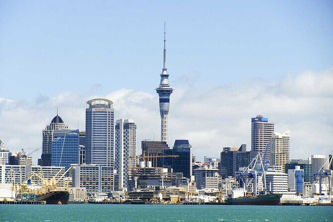 Airport Transfer: Auckland to Airport AKL by Business Car - Why Choose This Transfer?