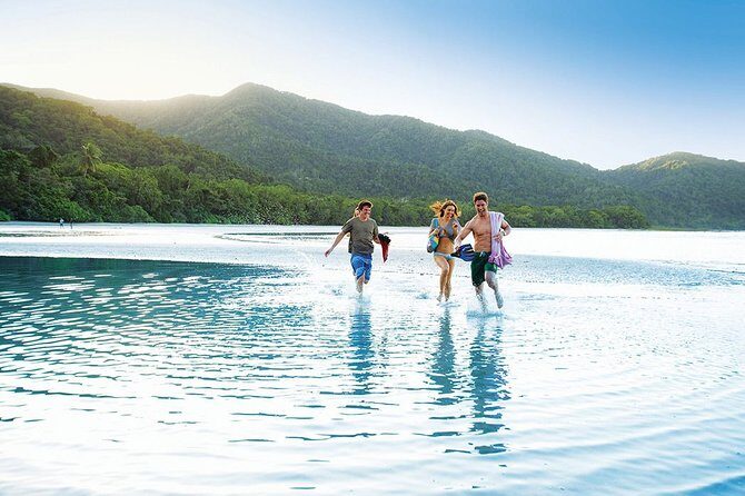 AIRPORT TRANSFER between Cairns Airport & Port Douglas (6am-5pm) - The Experience: What to Expect and Why It Matters