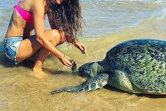 Airport Transfer by Hikkaduwa Taxi Service - Frequently Asked Questions