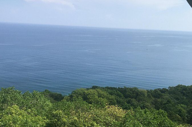 Airport Transfers - Who Will Benefit Most?