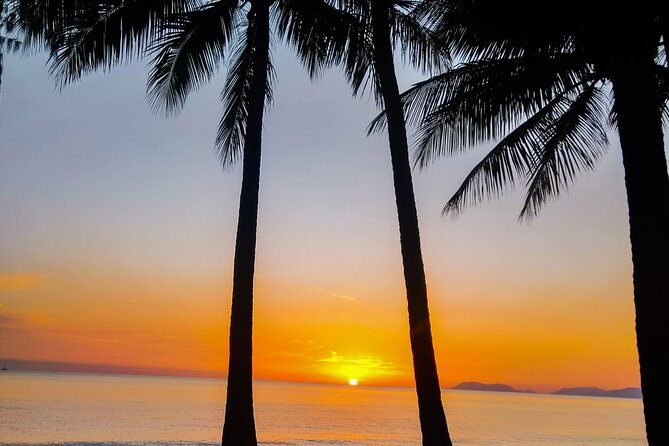 Airport Transfers between Cairns Airport and Port Douglas - Pricing and Overall Value