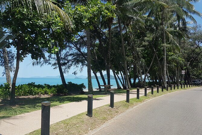 Airport Transfers between Cairns Airport and Port Douglas - Potential Drawbacks and Considerations