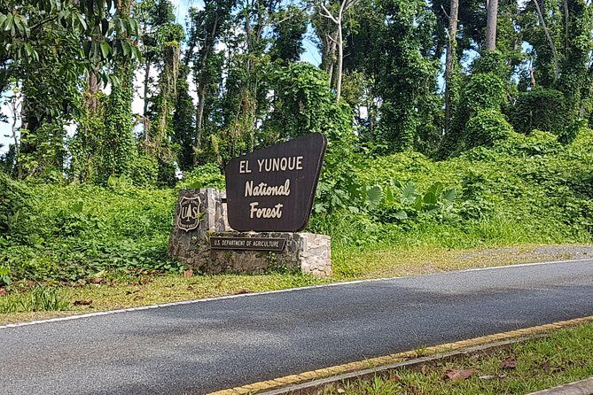 Airport transportation between San Juan and Rio Grande - Real-World Insights from Travelers