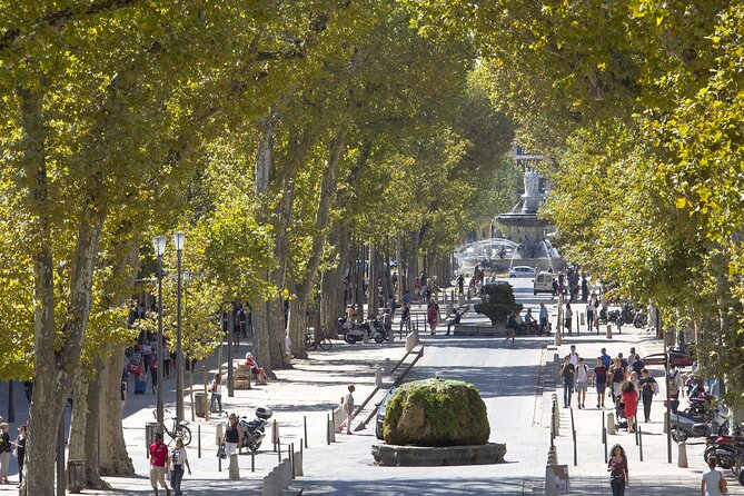 Aix En Provence and Wine Tasting Private Full day Tour - Final Thoughts: Is This Tour Worth It?