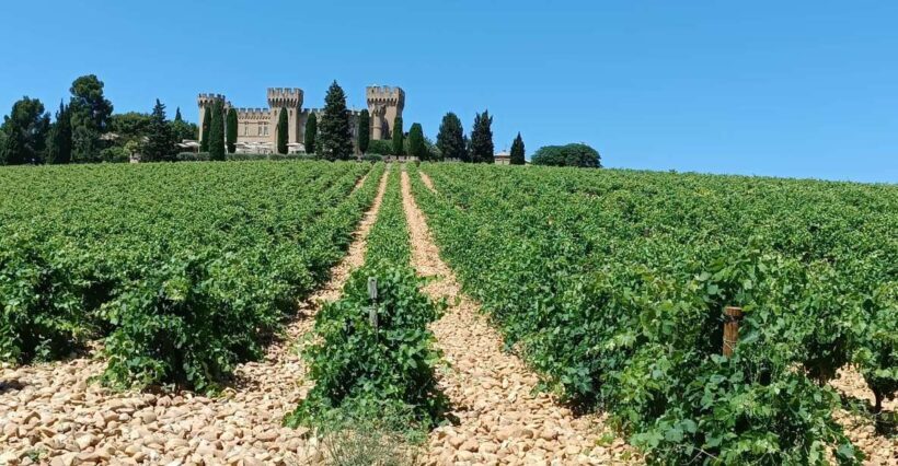 Aix-en-Provence: Avignon Tour & Chateauneuf-du-Pape Tasting - The Scenic Drive to Châteauneuf-du-Pape