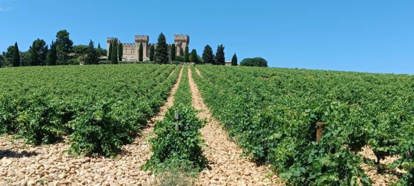 Aix-en-Provence: Avignon Tour & Chateauneuf-du-Pape Tasting - What’s the Experience Really Like?