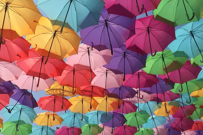 Aix-en-Provence, Cassis, Marseille - Authenticity and Genuine Experiences