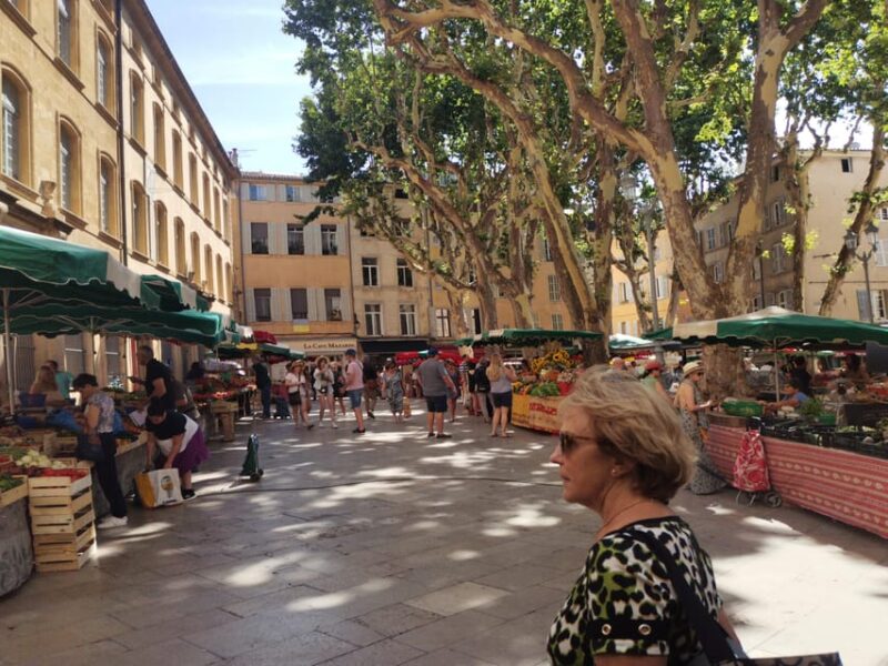 Aix en Provence: Discovery of Prestigeous Wineries and Art - The Sum Up: Who’s This Tour Perfect For?