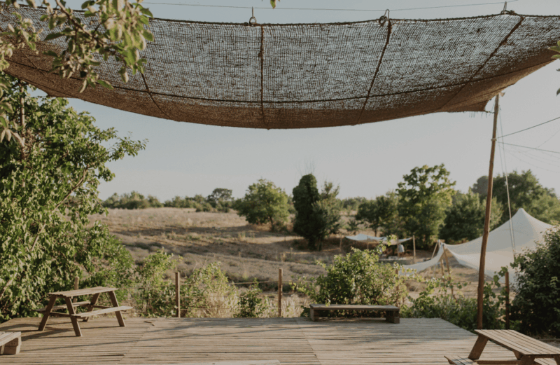 Aix-en-Provence: Lavender Fields Visit - Additional Information and Highlights