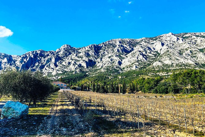 Aix-en-Provence - Mt Sainte Victoire wines in search of Cézanne - The Sum Up: Who Will Love This Tour?