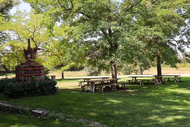 Aix-en-Provence old town, wine & art of Châteaux Beaupré & Bonisson private tour - Practical Details & Logistics