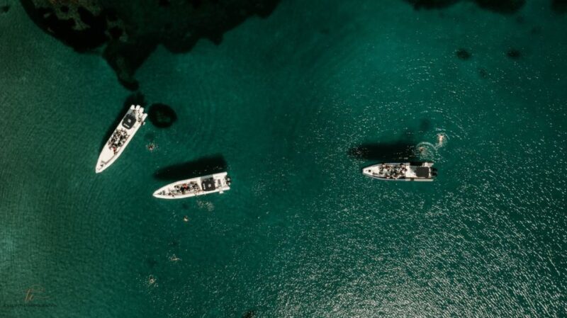 Ajaccio: Cruise to Sanguinaires Islands with Mezzu Mare Stop - Who Would Enjoy This Tour?