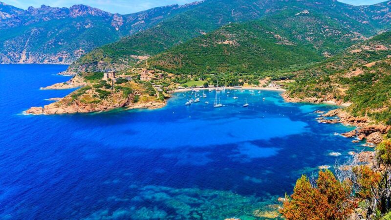 Ajaccio: Full-Day Corsica West Coast Guided Boat Tour - What’s Included & What to Consider