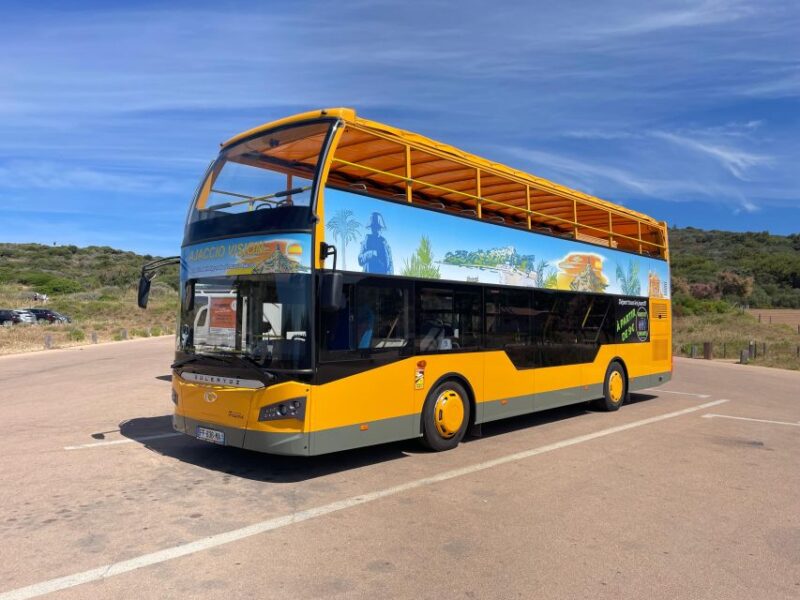 Ajaccio Sightseeing Tour - Languages Offered