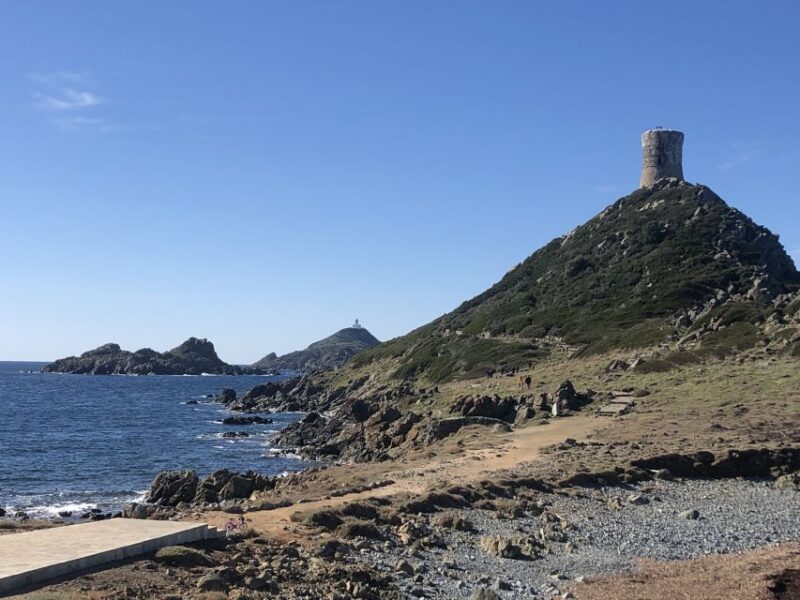 Ajaccio: Town Highlights and Coast Open-Top Bus Tour - Coastal Road and Sanguinaire Islands Views