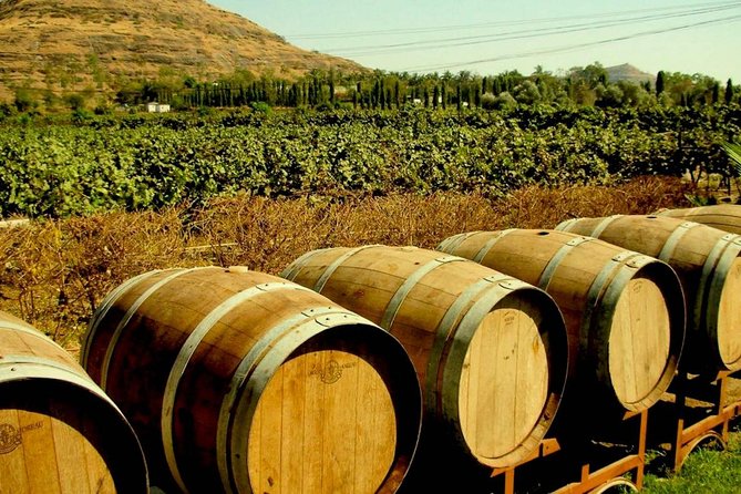 Ajanta & Ellora Caves, Aurangabad and Lonar Meteor Lake, 6 days from Mumbai - An In-Depth Look at the 6-Day Journey