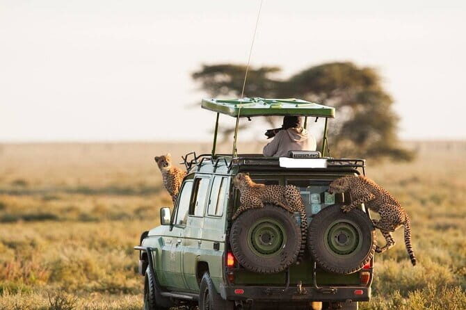 Akagera Safari Ride Share 1 Day Adventure - The Itinerary: What to Expect from the Day