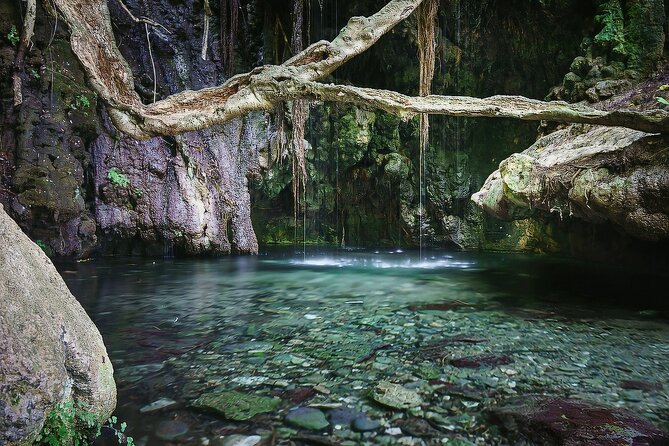 Akamas, Baths of Aphrodite and Blue Lagoon Day Tour from Paphos - From the Perspective of Past Travelers
