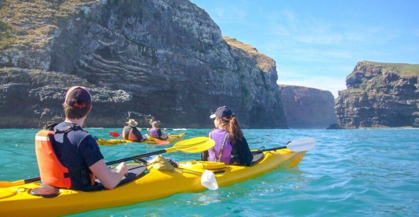 Akaroa: 4WD Safari and Guided Sea-Kayaking Experience - The Itinerary: What You Can Expect on This Unique Tour