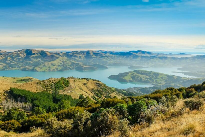 Akaroa: 4WD Safari and Guided Sea-Kayaking Experience - What Travelers Say: Authentic Feedback