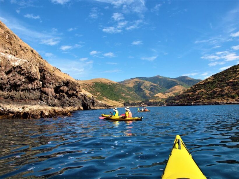 Akaroa: 4WD Safari and Guided Sea-Kayaking Experience - Final Thoughts: Who Should Consider This Tour?
