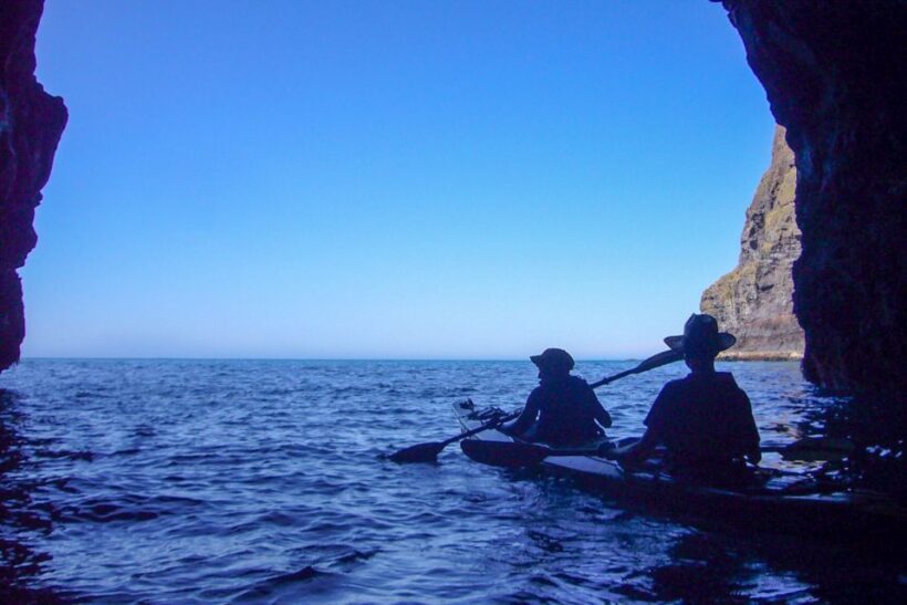 Akaroa: 4WD Safari and Guided Sea-Kayaking Experience - FAQs