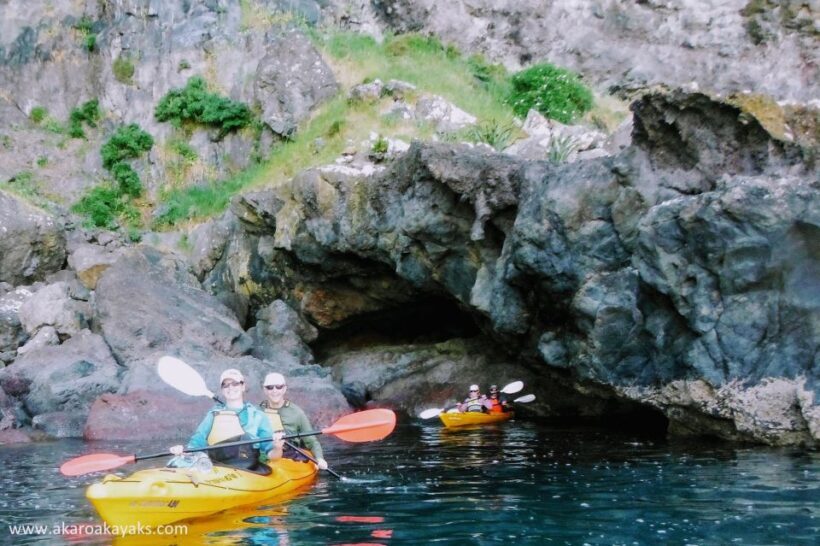 Akaroa: Akaroa Marine Reserve Sea Kayaking Tour - FAQ