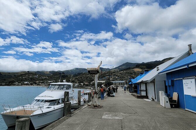 Akaroa and Akaroa Dolphins Day Tour - What Makes This Tour Stand Out