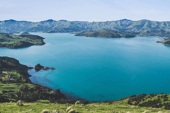 Akaroa and Akaroa Dolphins Day Tour - Practicalities and Tips