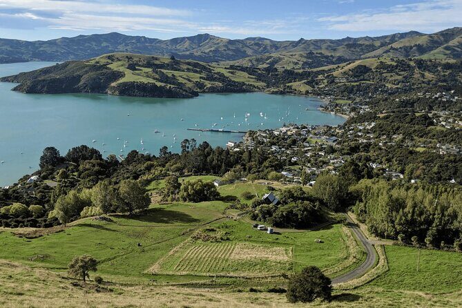 Akaroa and Akaroa Dolphins Day Tour - The Sum Up