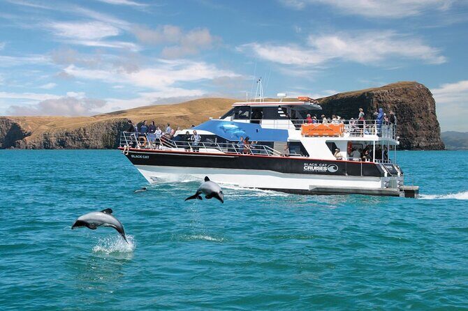 Akaroa Day Tour From Christchurch & Lyttelton - What You Can Expect from the Experience
