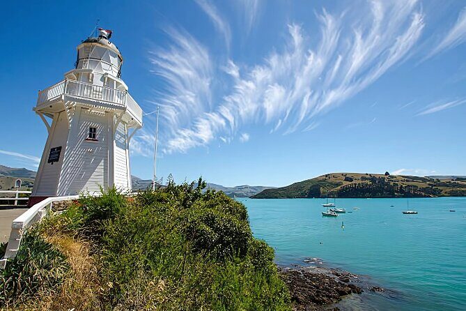 Akaroa Day Tour from christchurch Return - Wildlife Cruise: Up Close with Nature